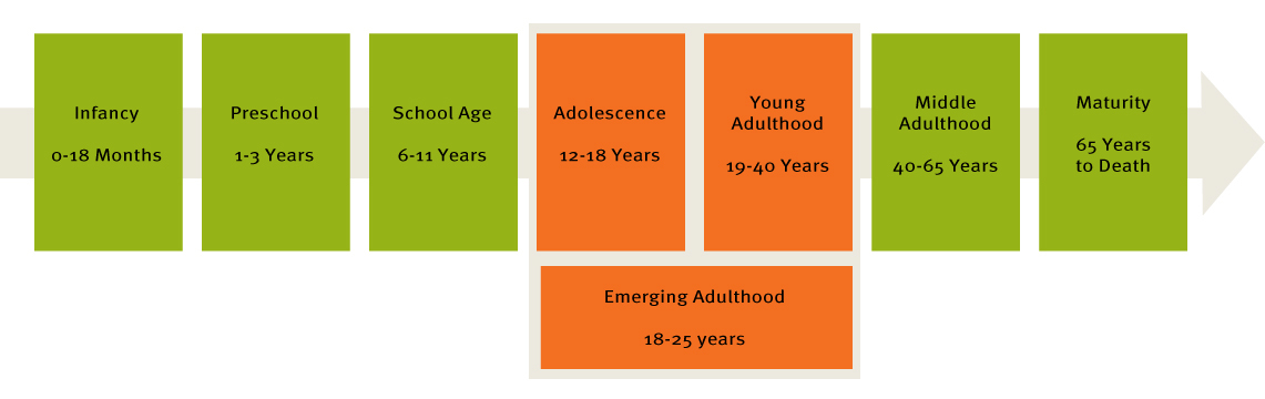 The Adolescent Brain & Foster Care - The Annie E. Casey Foundation